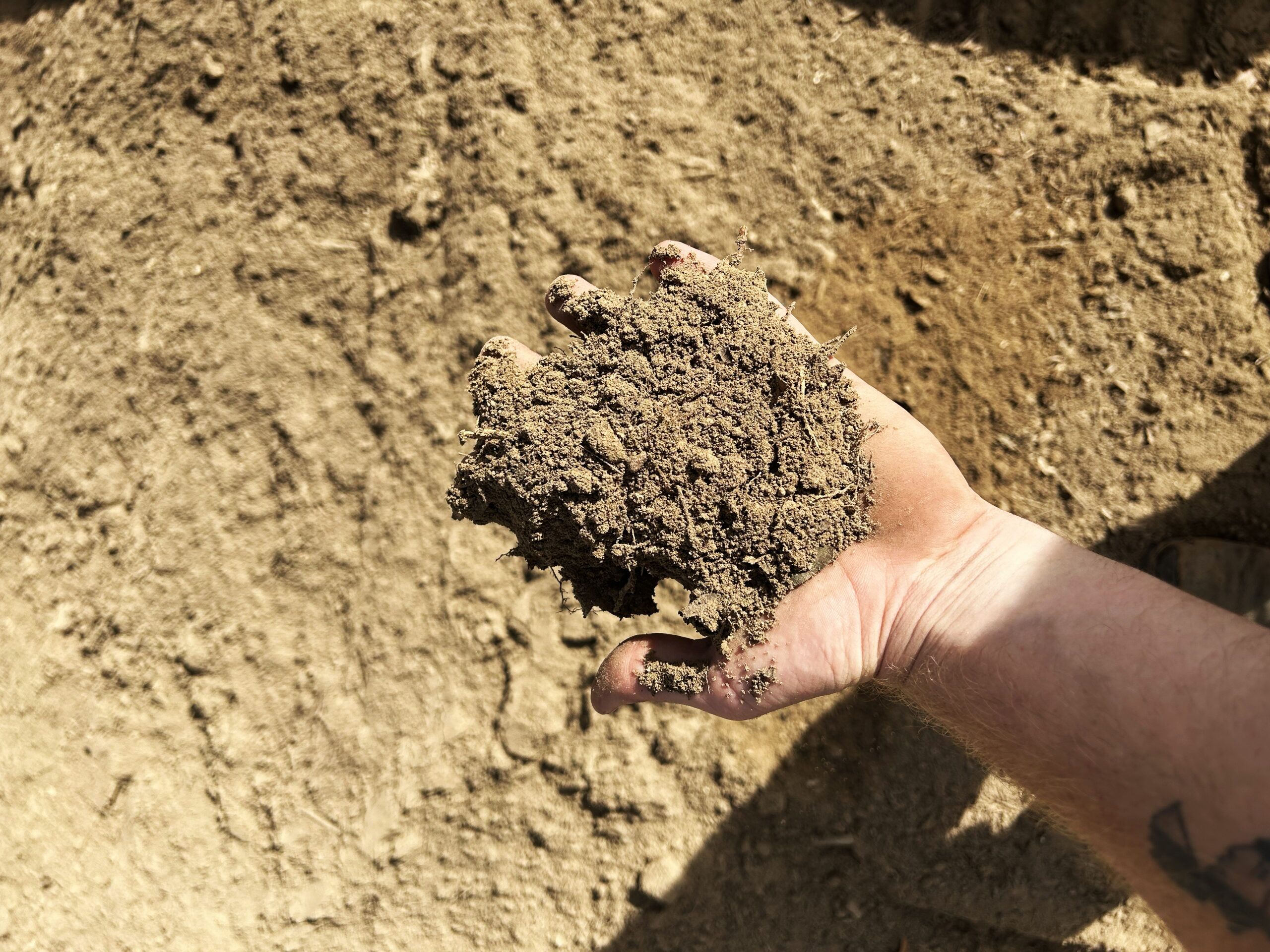 Screened Topsoil - Total Materials LLC
